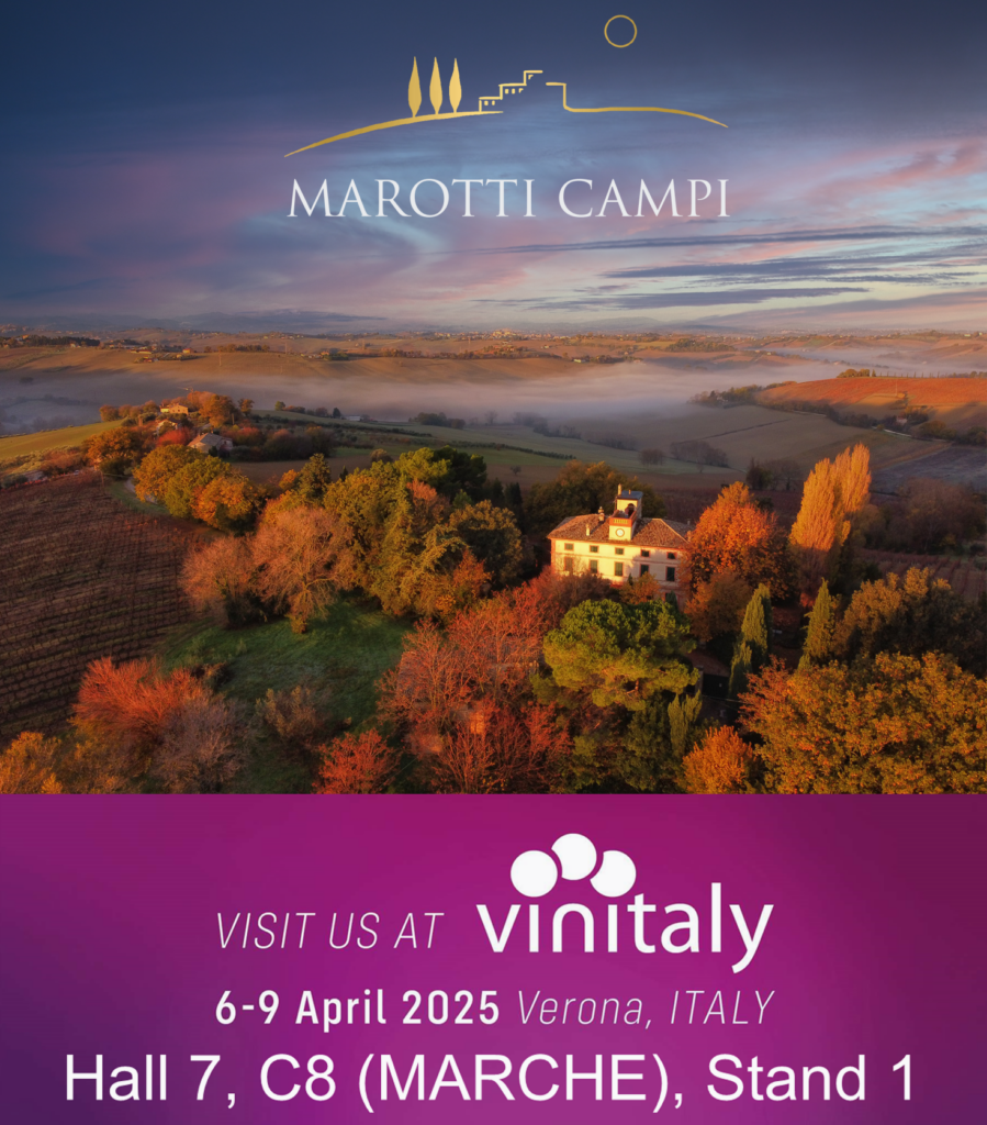 VINITALY 2025, VISIT US HALL 7 , C8 (MARCHE), STAND 1 - Marotti Campi